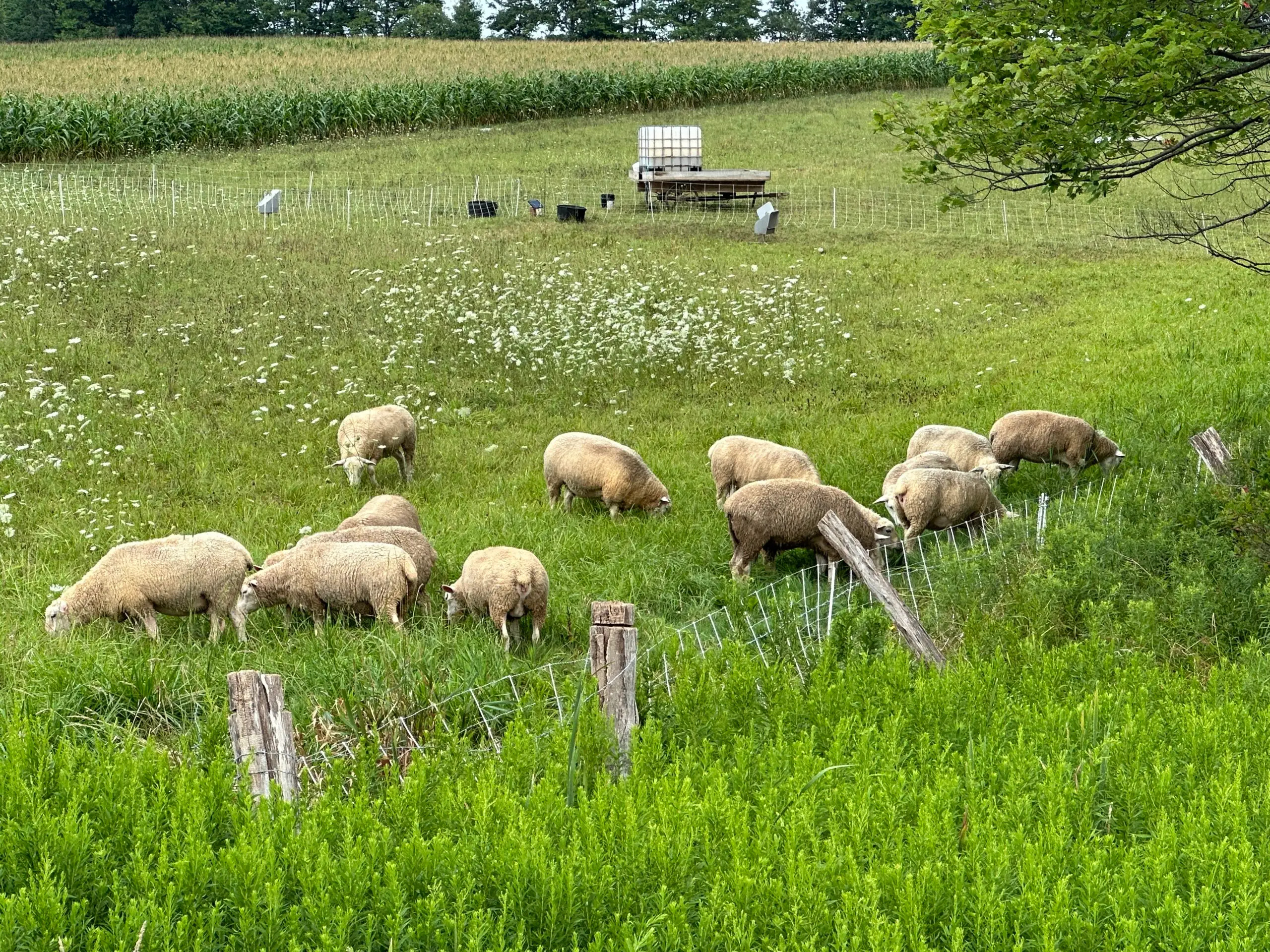 Places to Stay | Northeast Ohio Amish Country