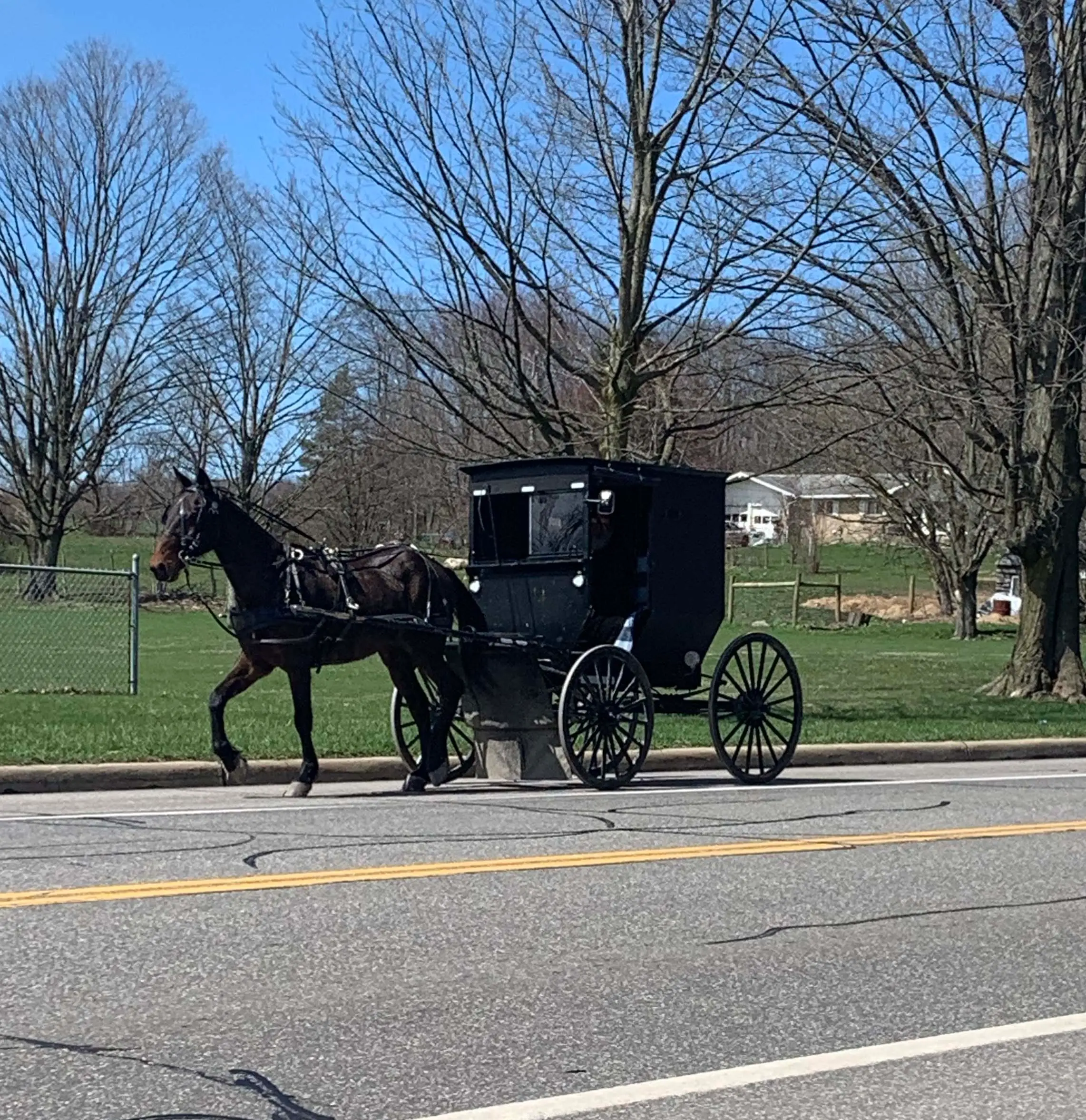 Yoder's Solar | Northeast Ohio Amish Country